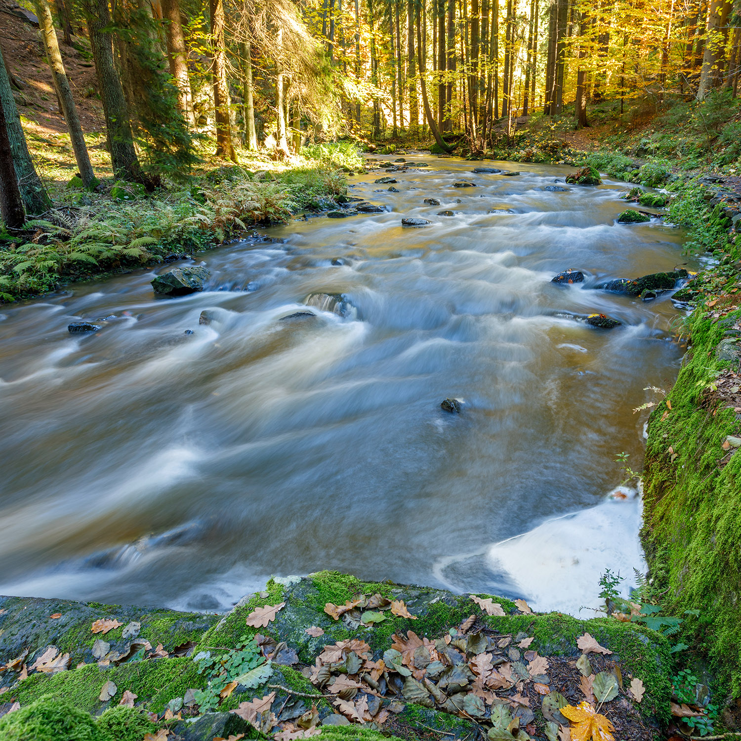 Meet the Team – Aby Behavioral Solutions LLC